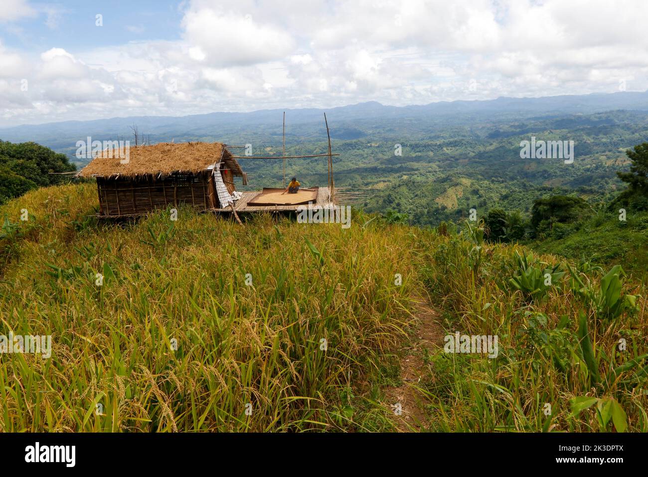 Jhum farmers hi-res stock photography and images - Alamy