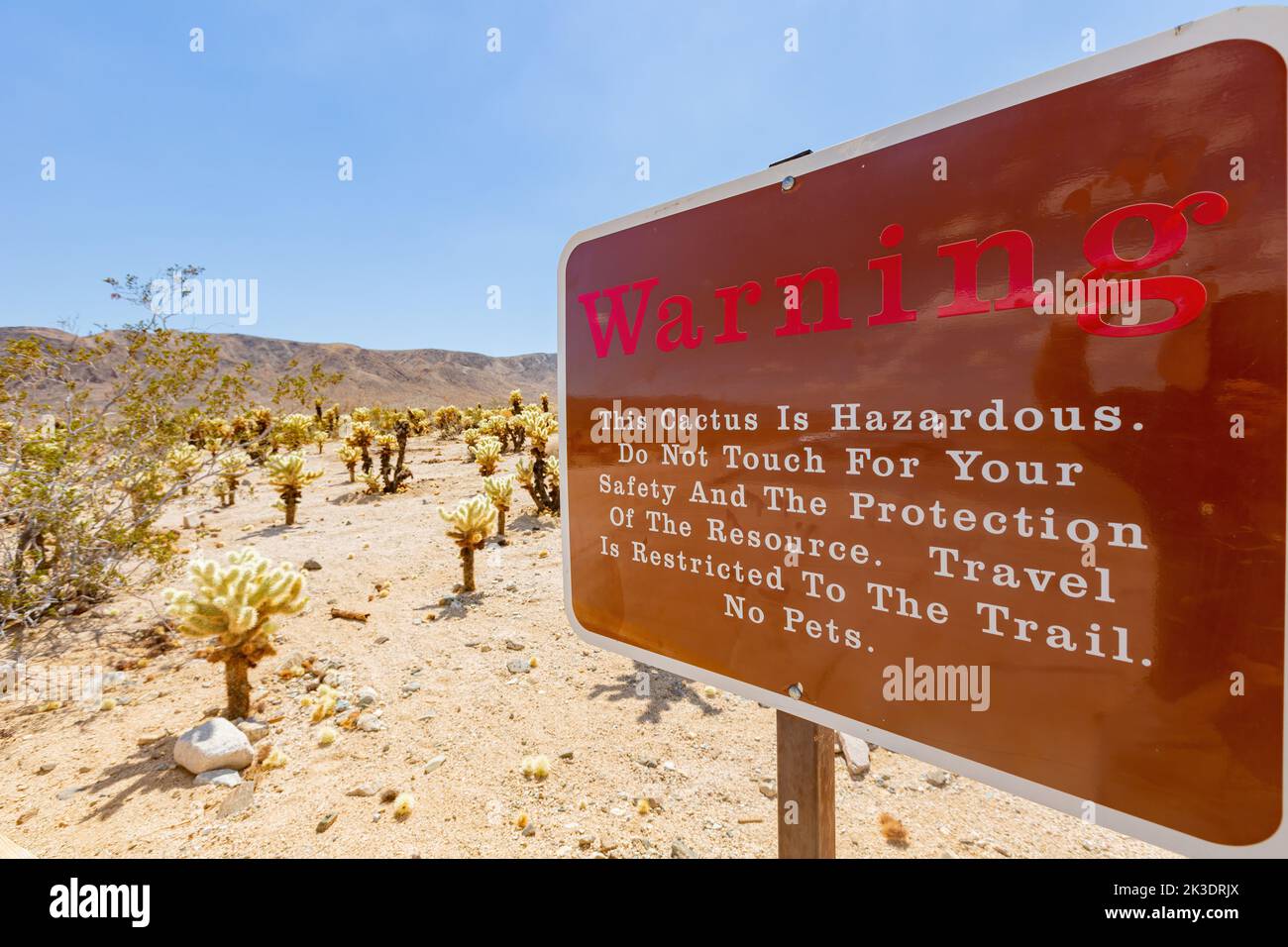 Warning sign in the Cholla Cactus Garden of Joshua Tree National Park ...