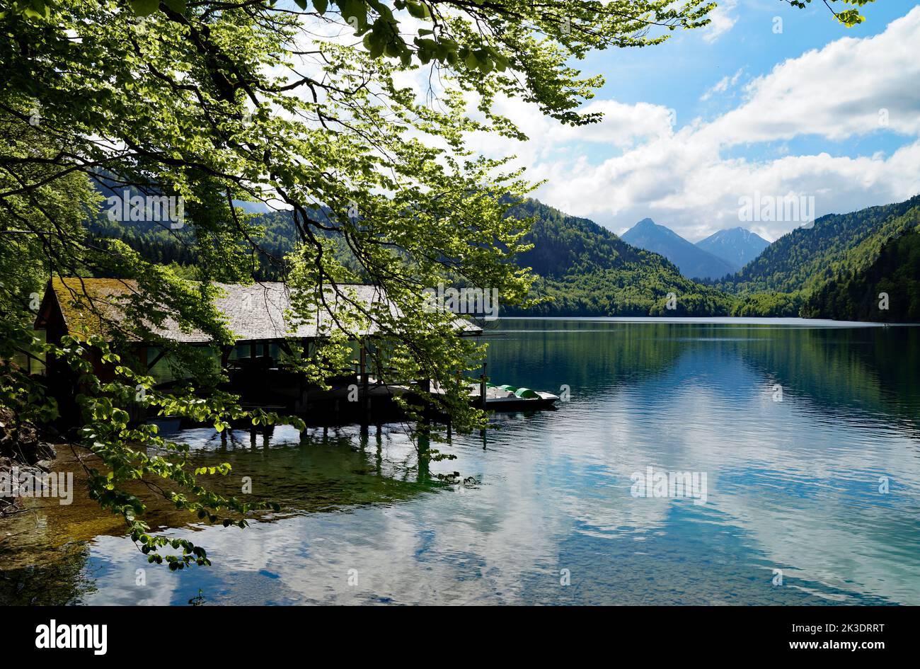 gorgeous emerald-green lake Alpsee in the German Alps in Hohenschwangau ...
