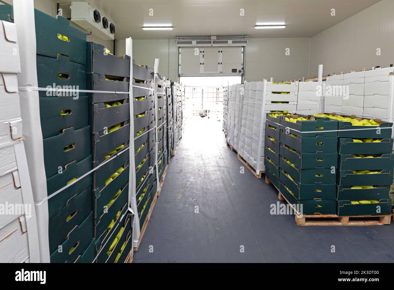 Vegetable cold storage hi-res stock photography and images - Alamy
