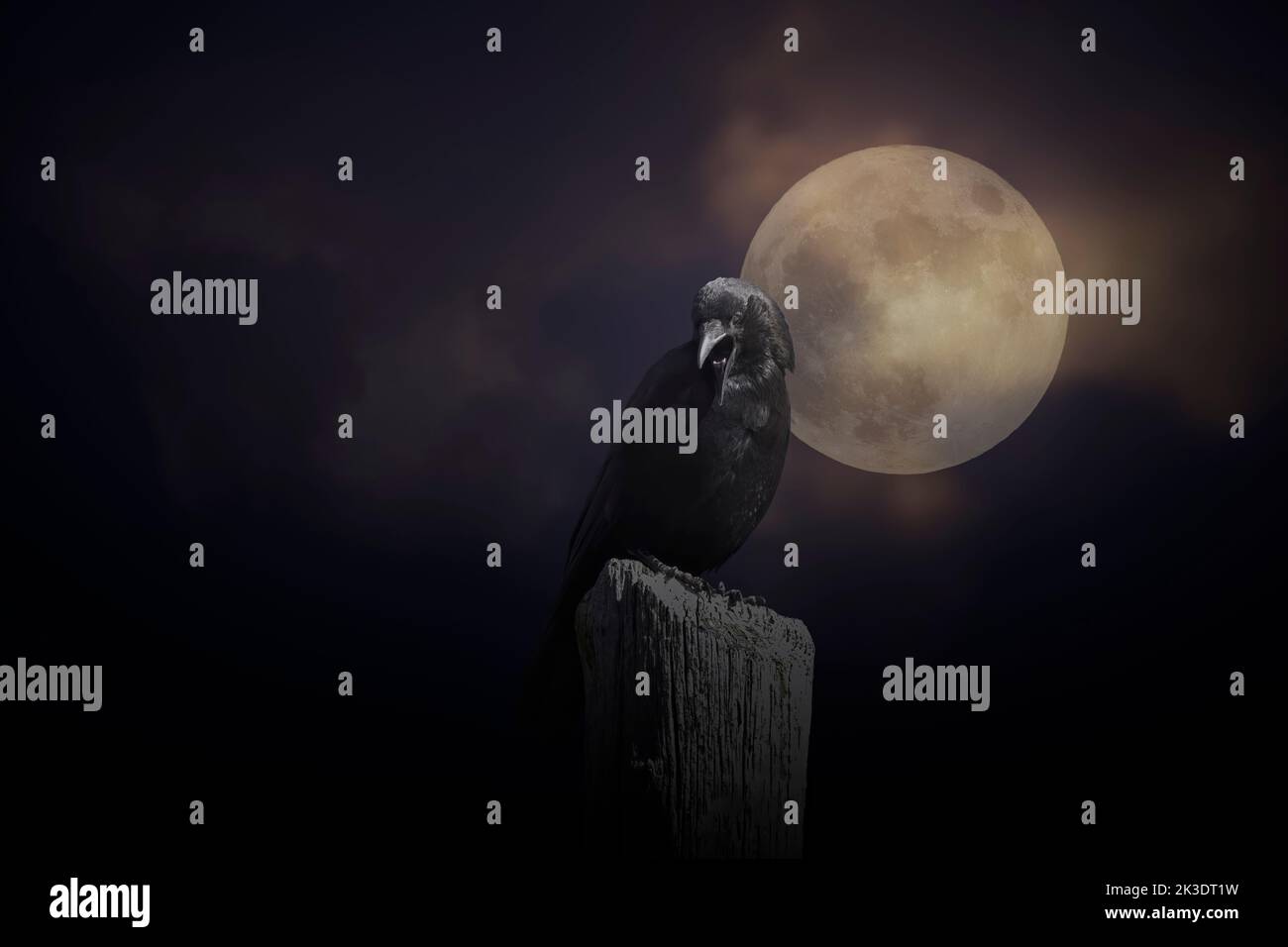 Creepy crow in an overcast full moon night Stock Photo - Alamy