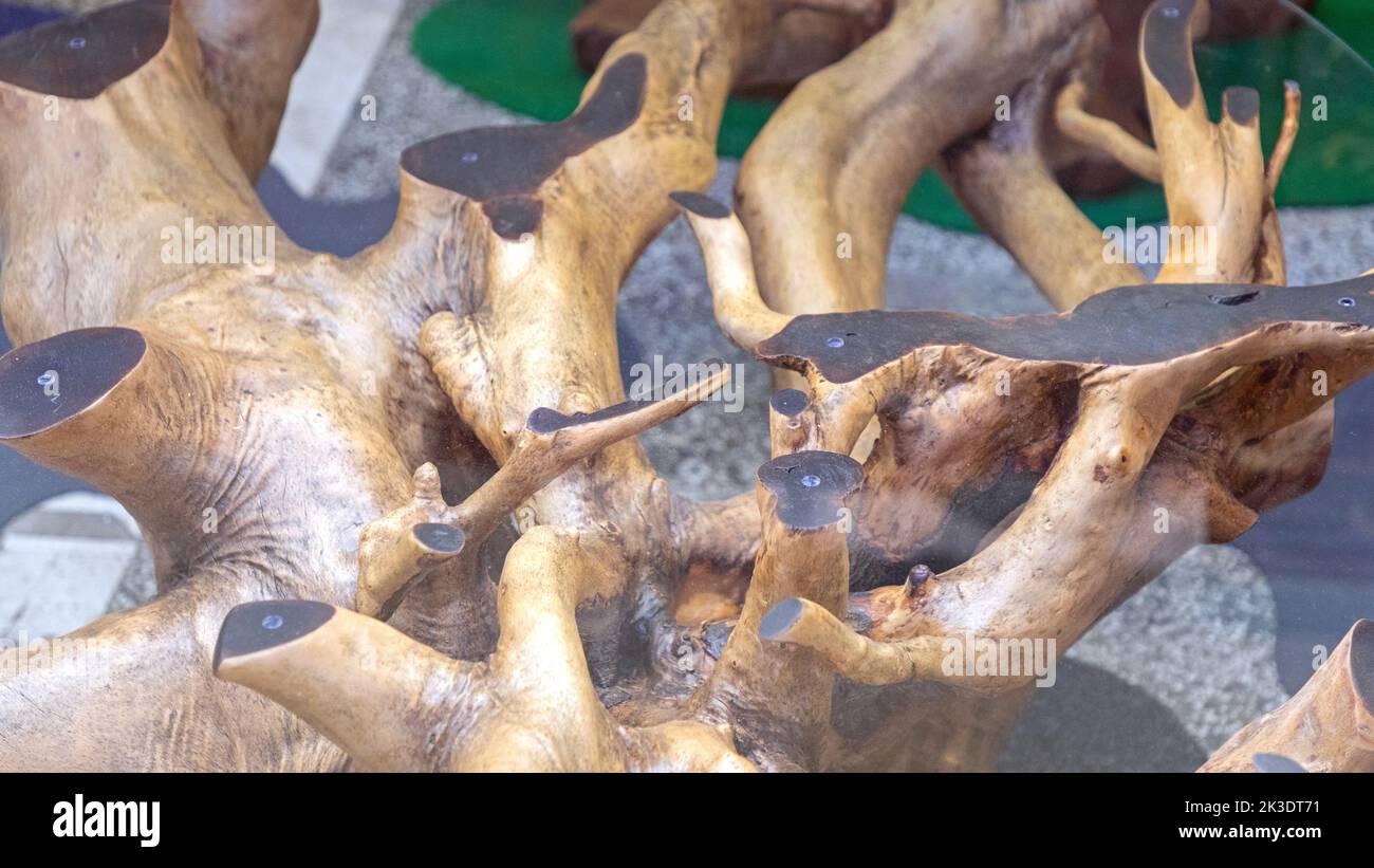 Wood Root Coffee Table With Glass Top Stock Photo - Alamy
