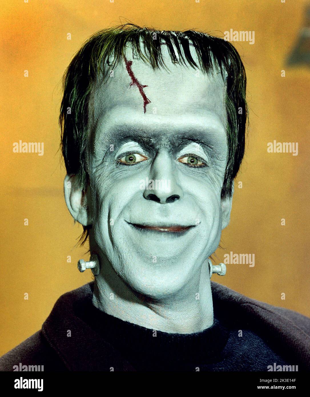 Fred Gwynne The Munsters