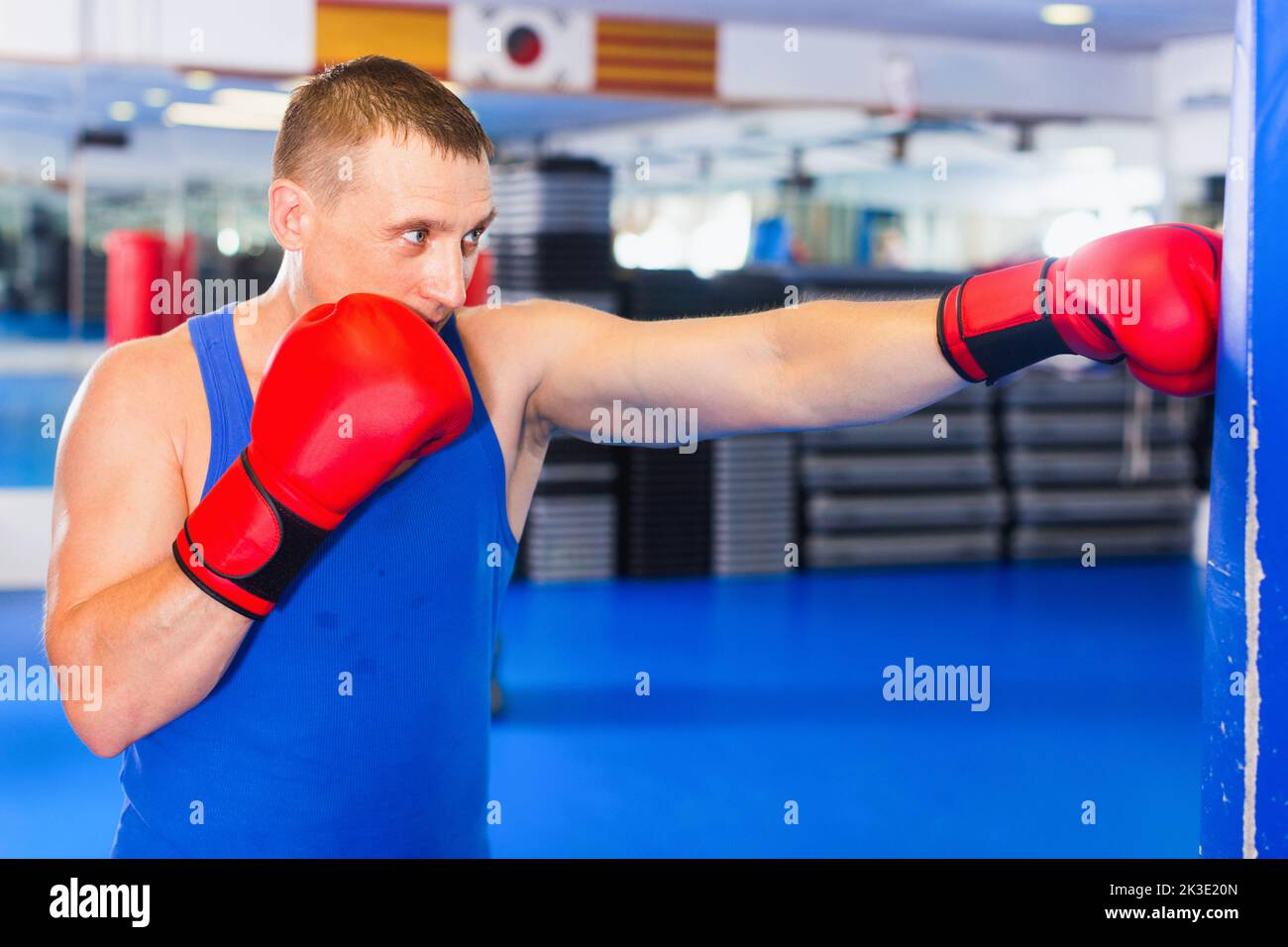 Potrait of man boxer who is training in gym Stock Photo - Alamy