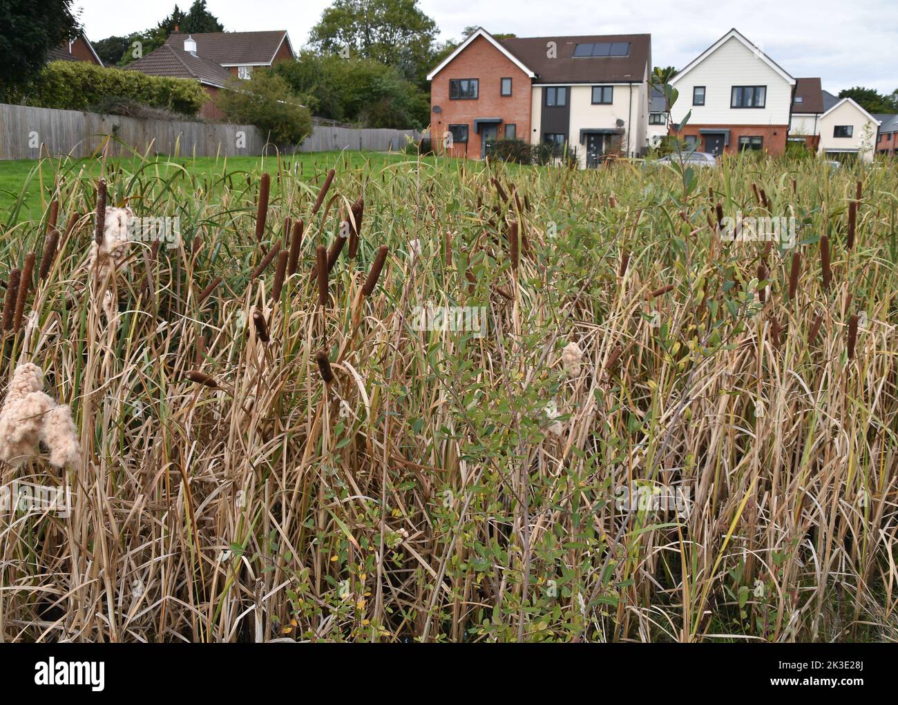 Hedge End New Build Estate - Balancing Pond Stock Photo - Alamy