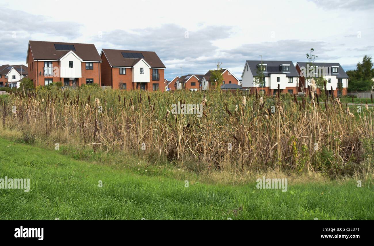 Hedge End New Build Estate - Balancing Pond Stock Photo - Alamy