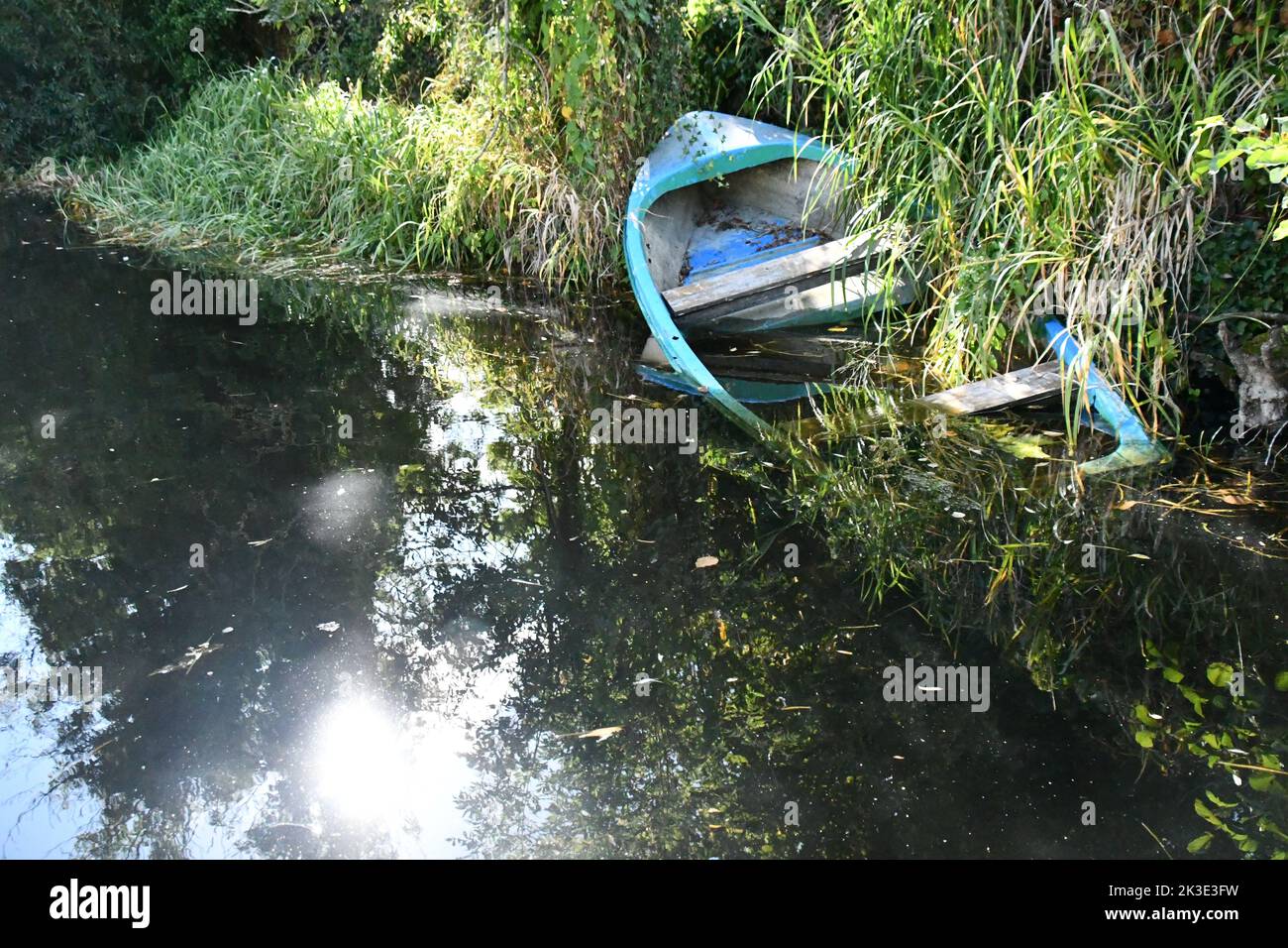 Sinking into the greenery hi-res stock photography and images - Alamy