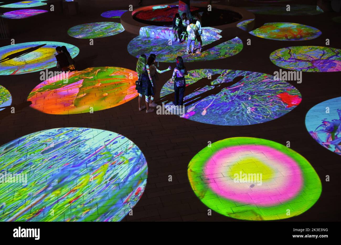 (Water Tiger Colour Balm ) 2022 Video outdoor installation Loop 20 ...