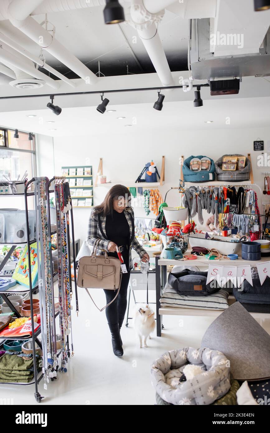 Dog in a boutique hi-res stock photography and images - Alamy