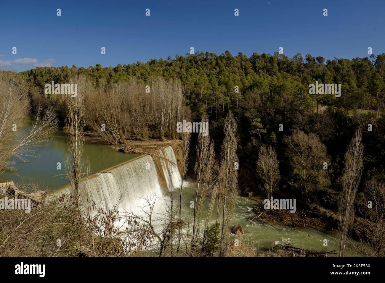 Bosque de colonia hi-res stock photography and images - Alamy