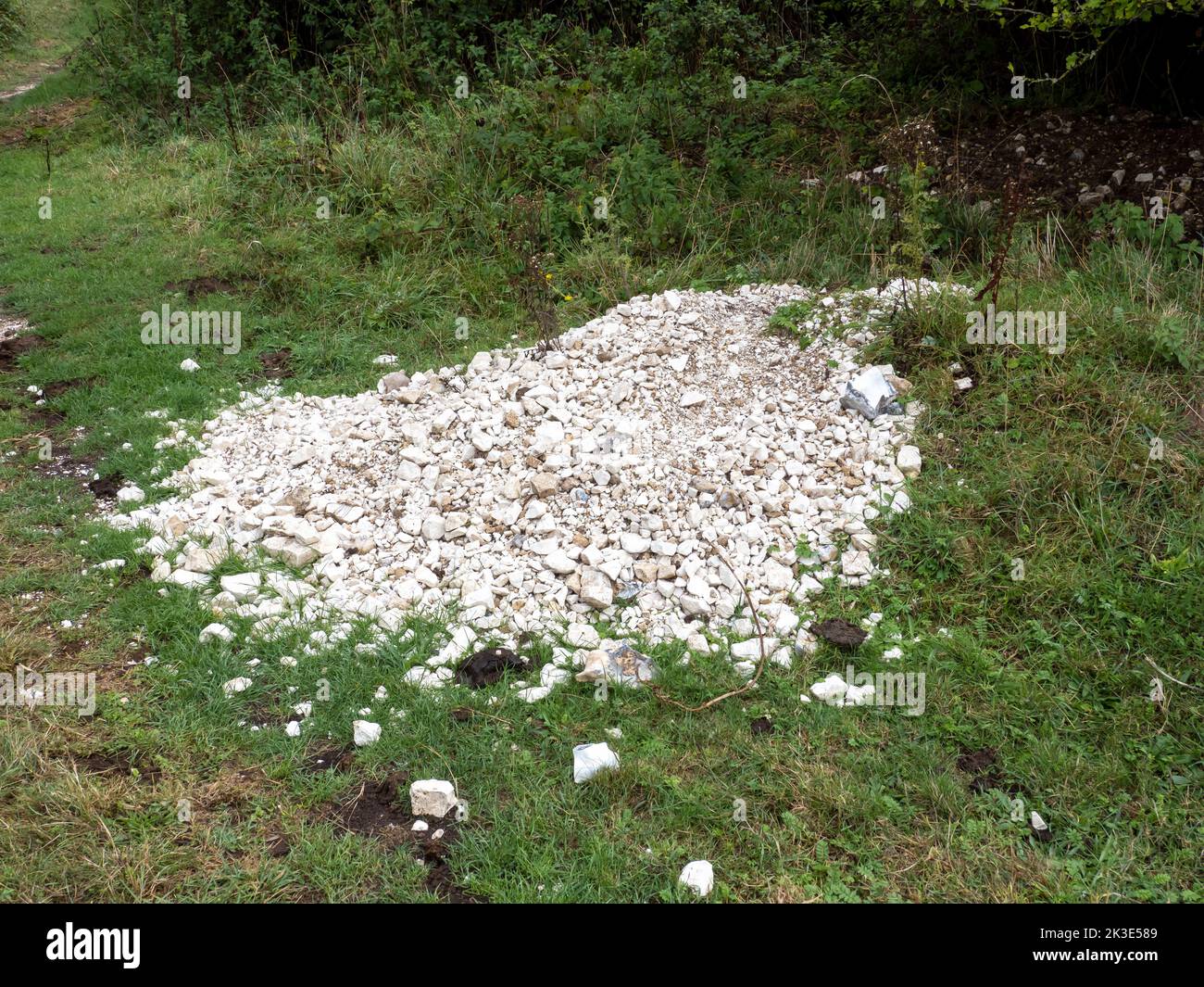 Chalk rubble dug out by a Badger at its sett on East Afton Down at ...