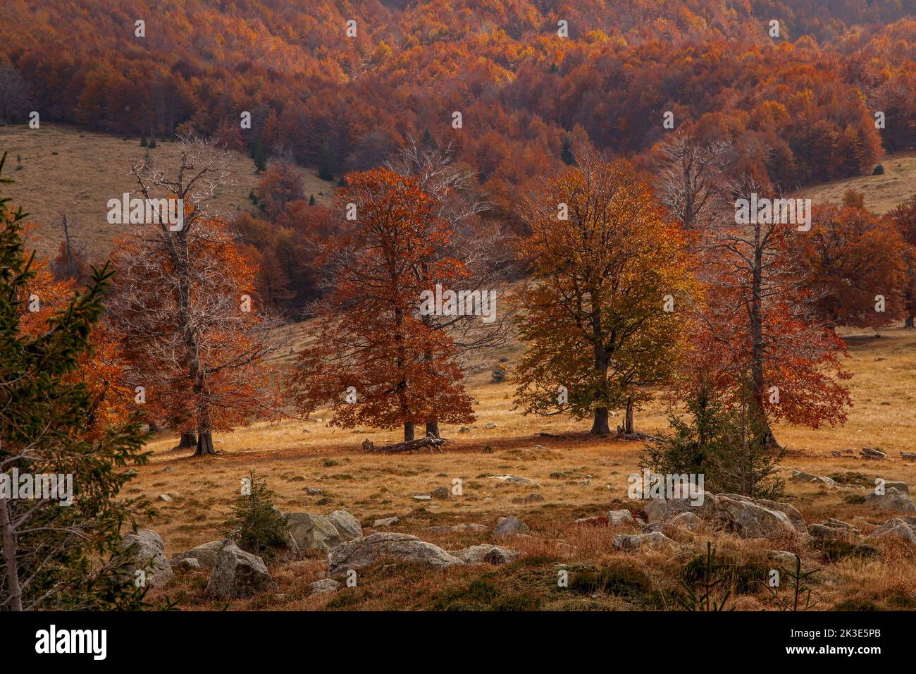 Colorful autumn landscape nature hi-res stock photography and images ...