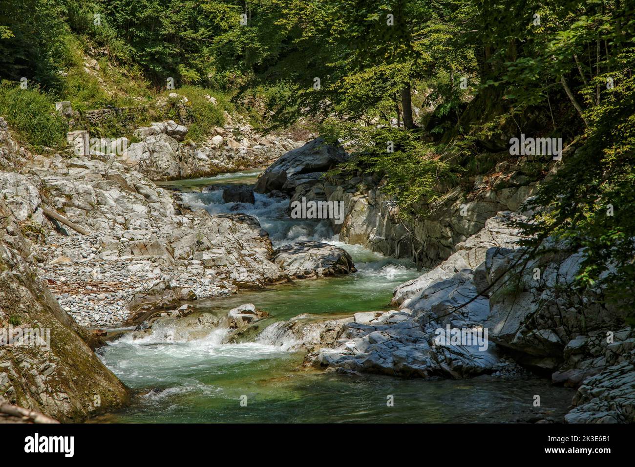 Landscape on the upper course of the river Gilort, Gorj, Romania Stock ...