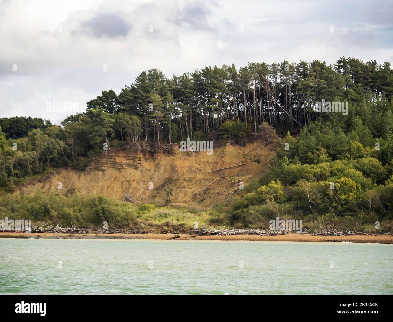 Bouldnor forest hi-res stock photography and images - Alamy