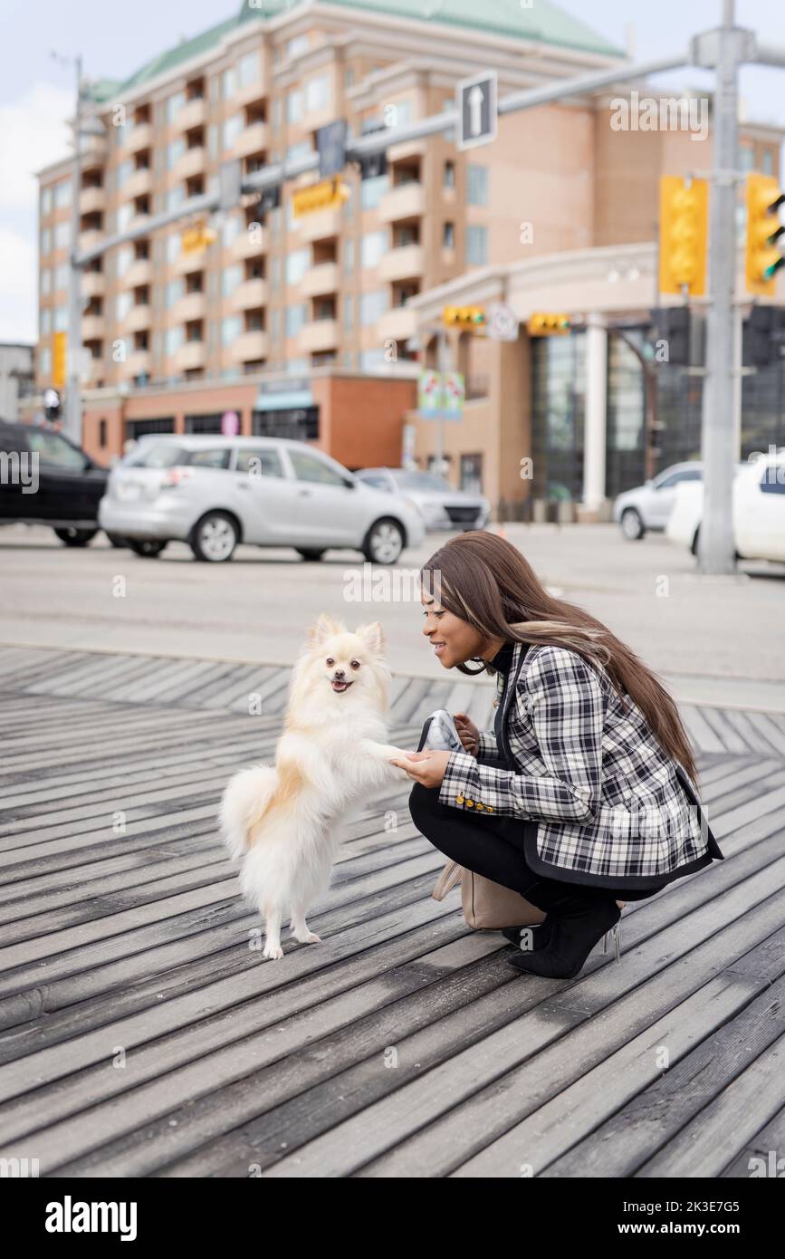 Asian street dog hi-res stock photography and images - Alamy