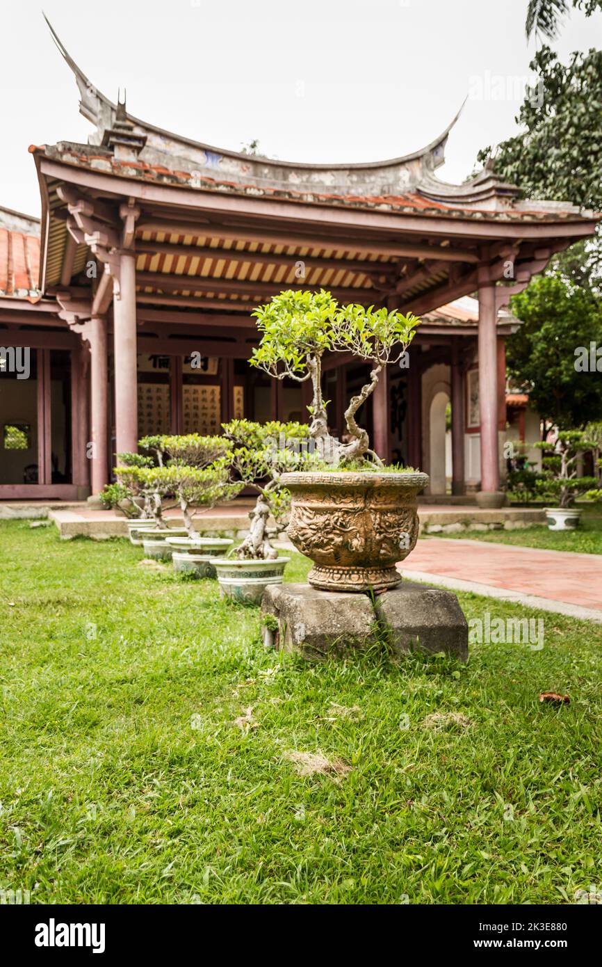 Bonsai in a temple hi-res stock photography and images - Alamy