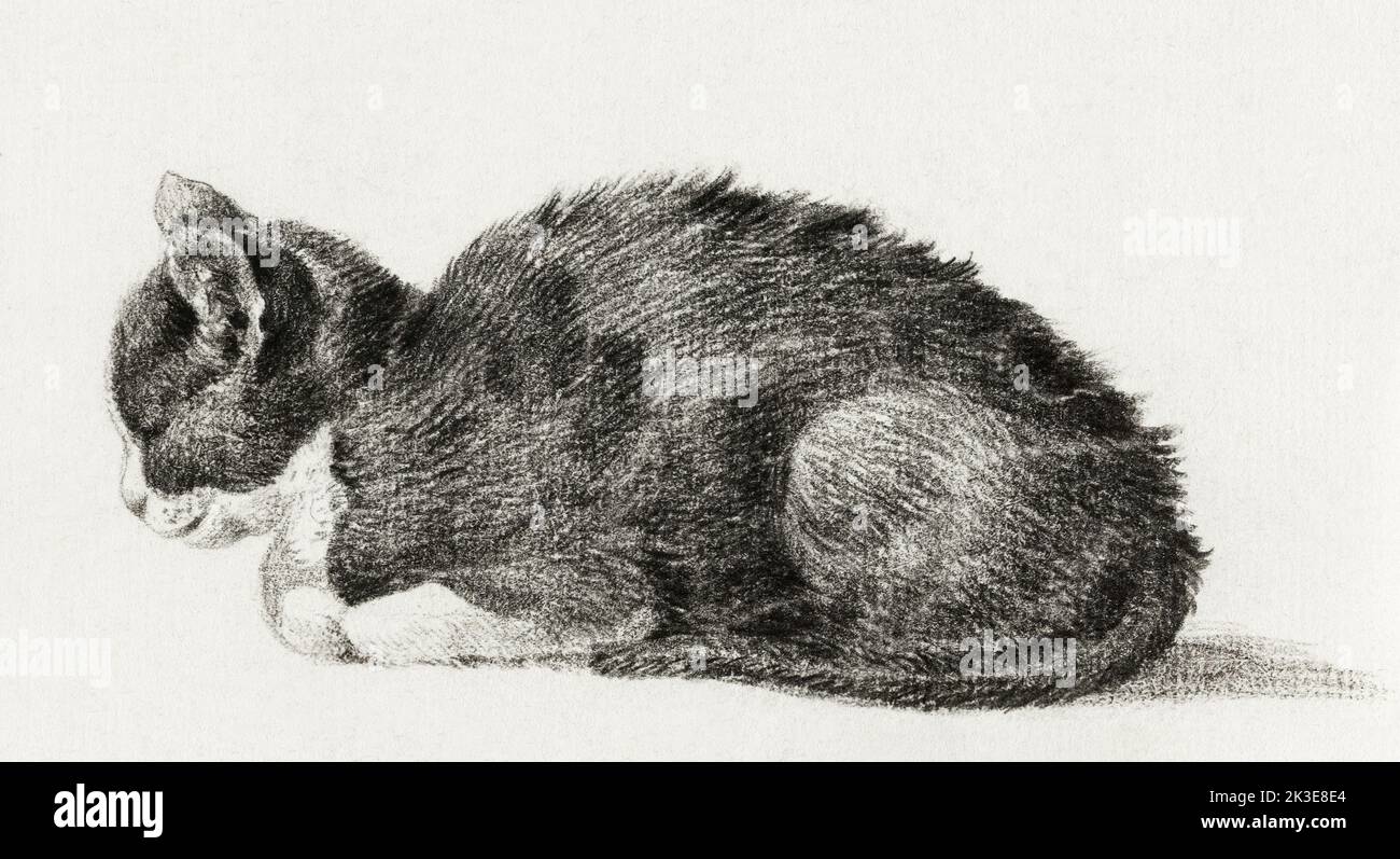Lying cat (1800) by Jean Bernard (1775-1883). Original from The ...
