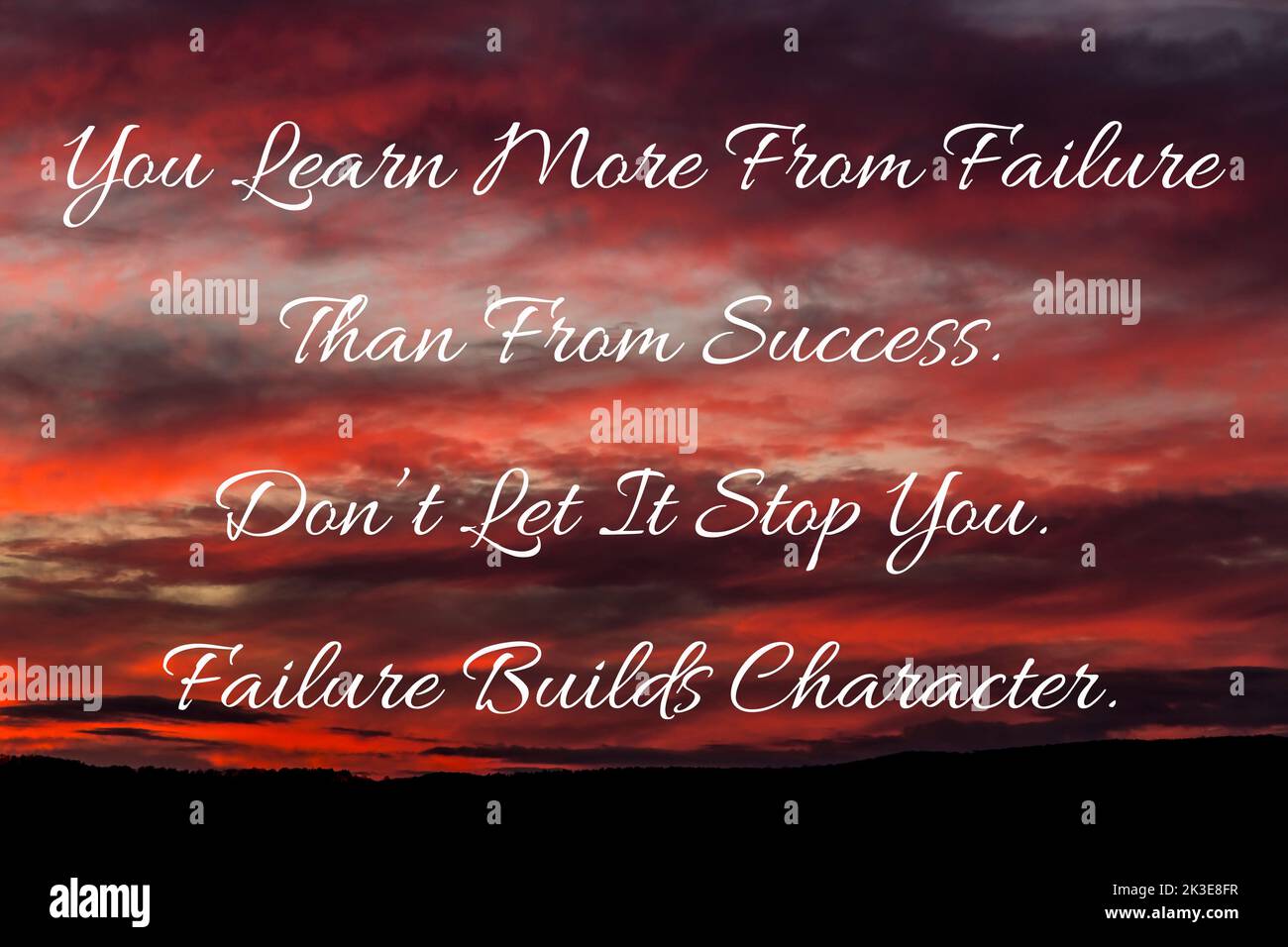 Inspirational motivational quote: You learn more from failure than from ...