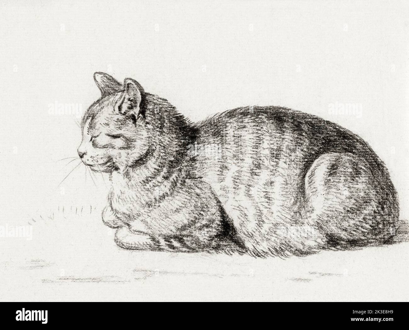 Lying cat (1811) by Jean Bernard (1775-1883). Original from The ...