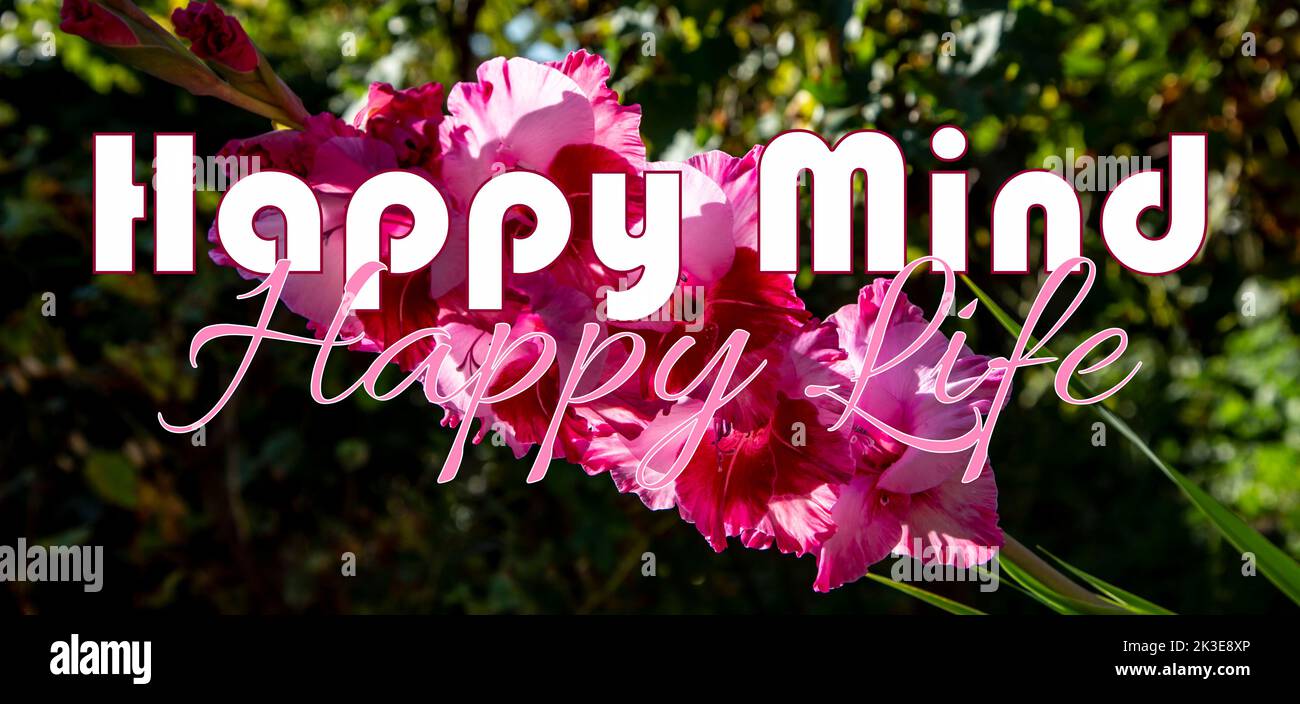Inspirational motivational quote Happy mind, happy life, on beautiful ...