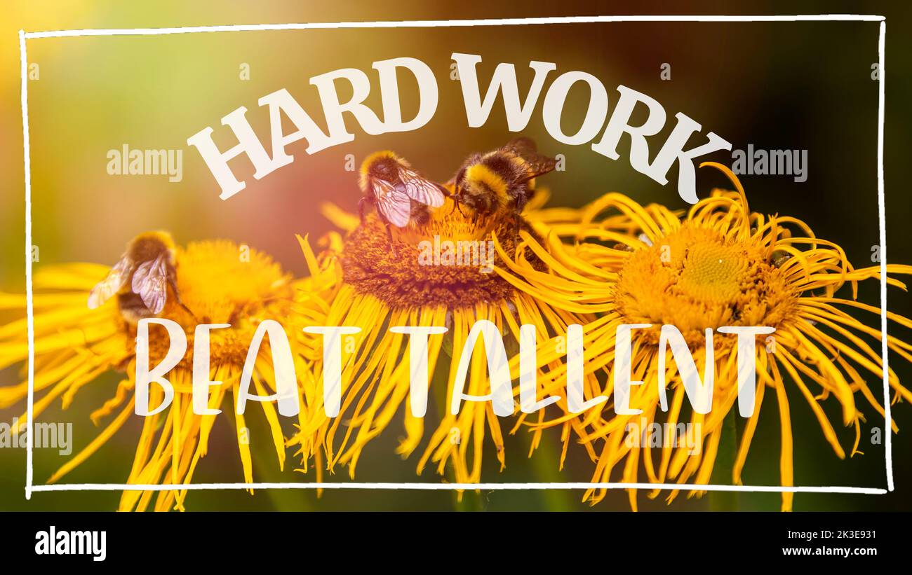 Inspirational motivational quote Hard work beats talent, on natural ...