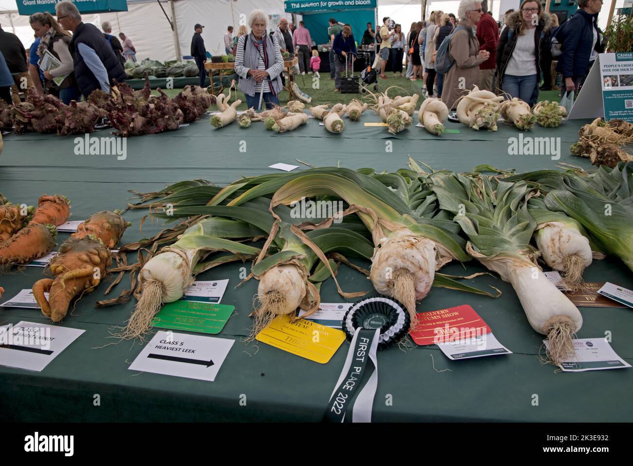 Visitors looking at giant leeks Three Counties Show Stock Photo - Alamy