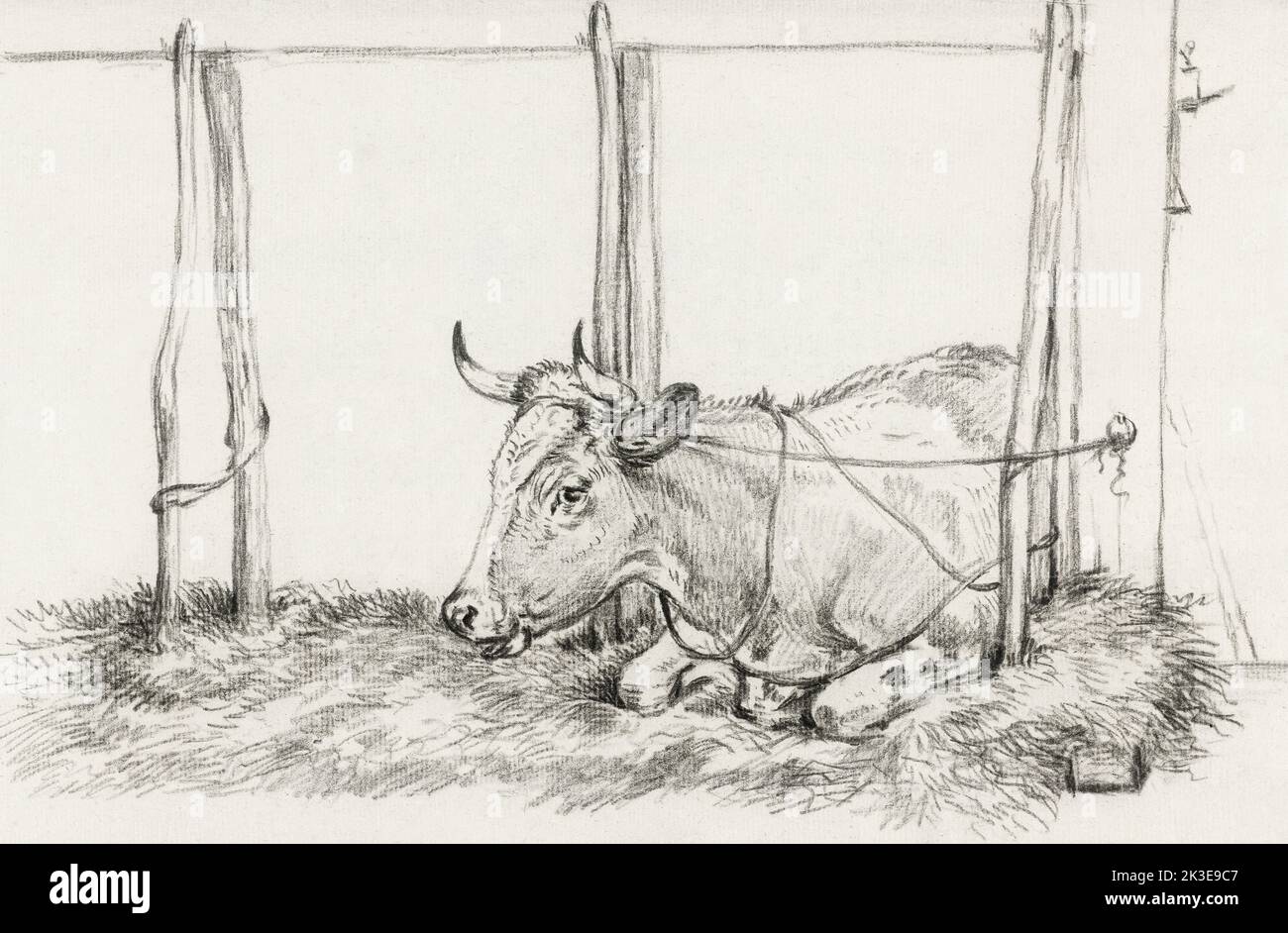 Lying cow by Jean Bernard (1775-1883). Original from The Rijksmuseum ...