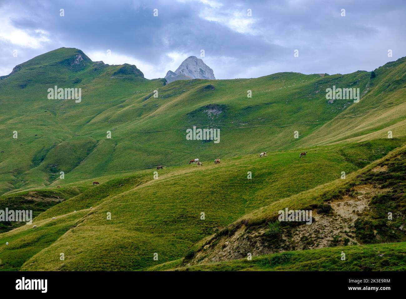 Col d'Aubisque, Aquitaine, Pyrenees, France, Europe Stock Photo - Alamy