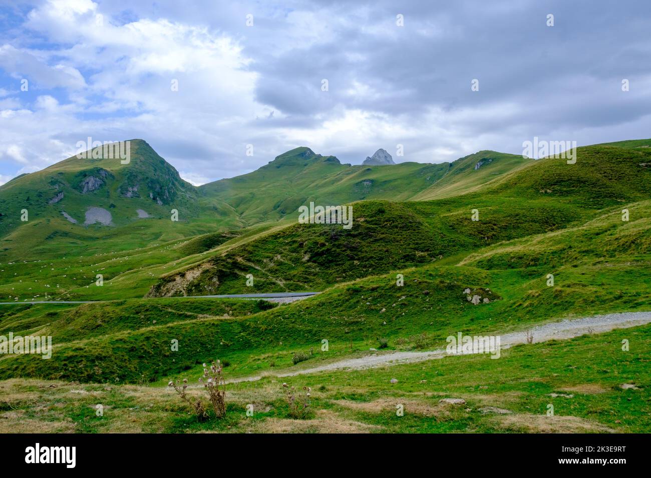 Daubisque hi-res stock photography and images - Alamy