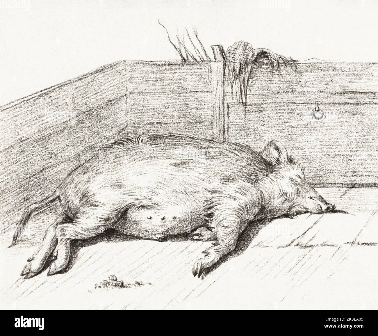Lying pig, in the corner of a loft (1812) by Jean Bernard (1775-1883 ...