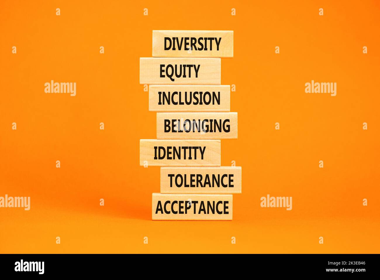 Diversity, inclusion symbol. Diversity belonging inclusion equity ...