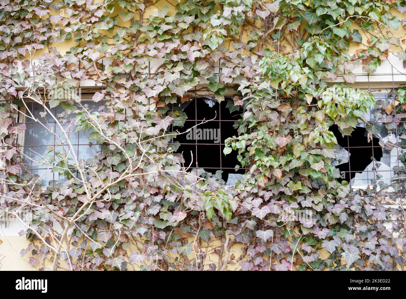 Broken, smashed window glass on an uninhabited building in Bavaria ...