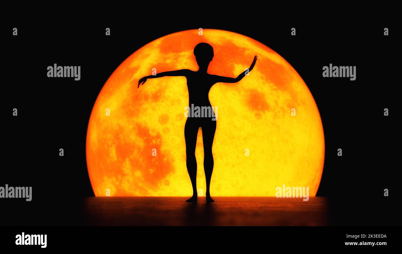 Moon dances hi-res stock photography and images - Alamy