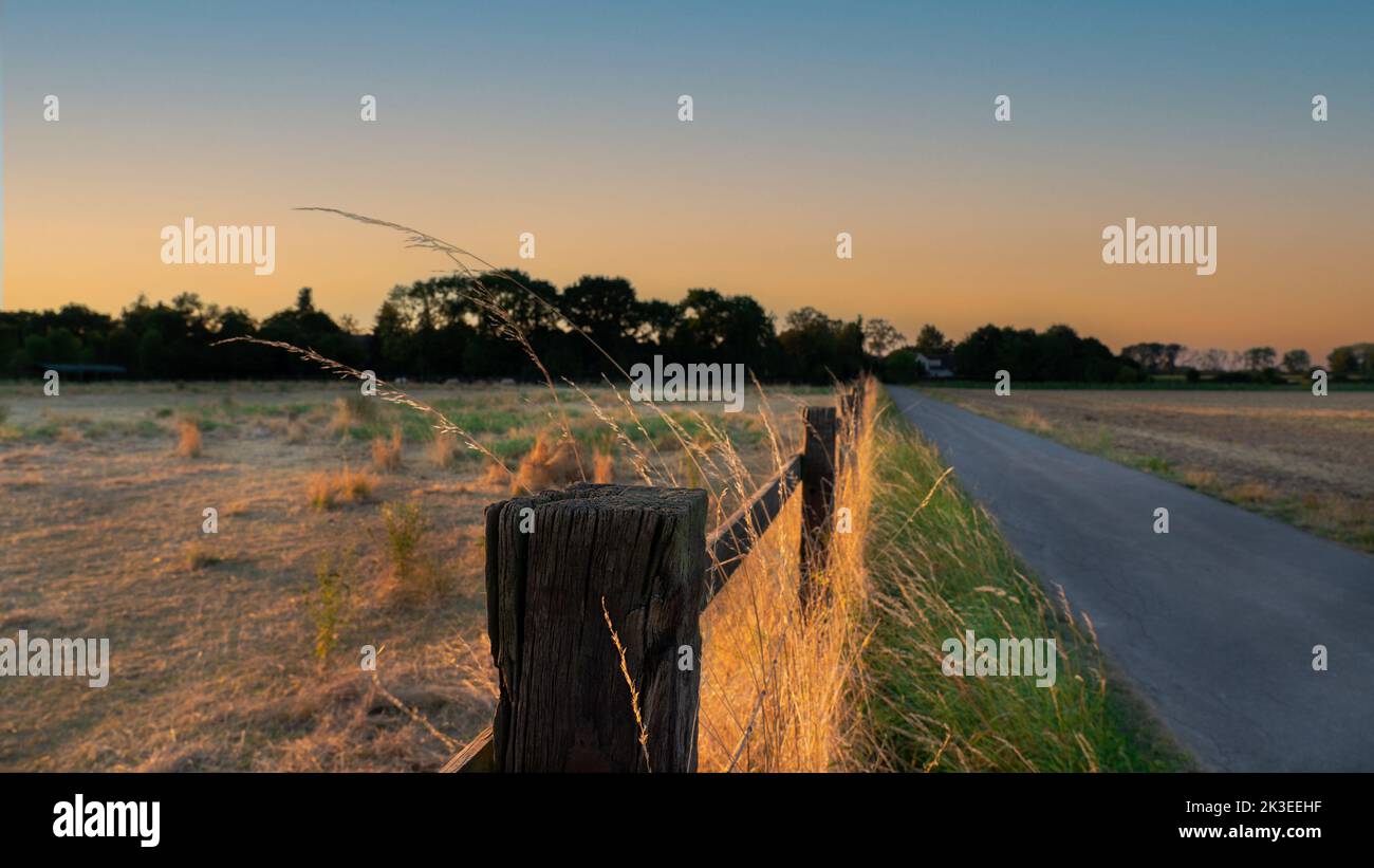 Beautiful long road past fields with fenced farmland, horses and a ...