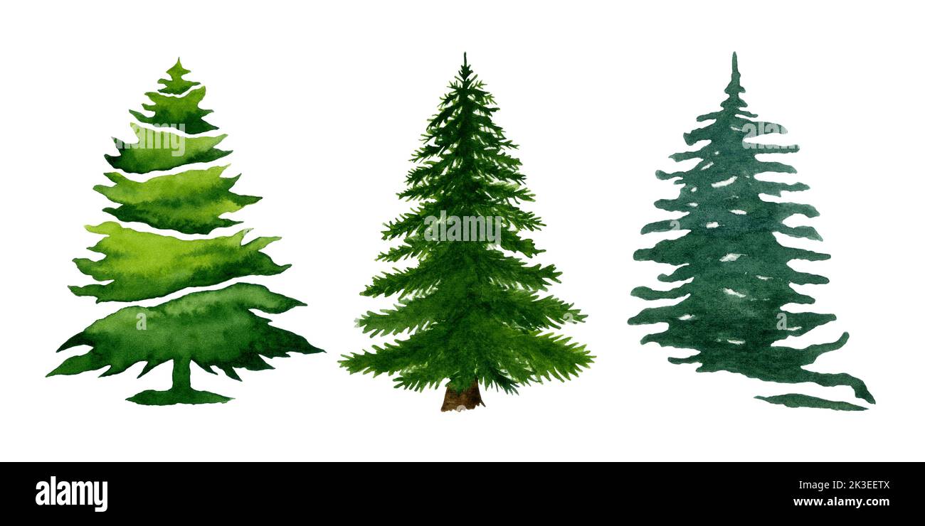Watercolor christmas trees. Hand drawn evergreen tress illustration ...
