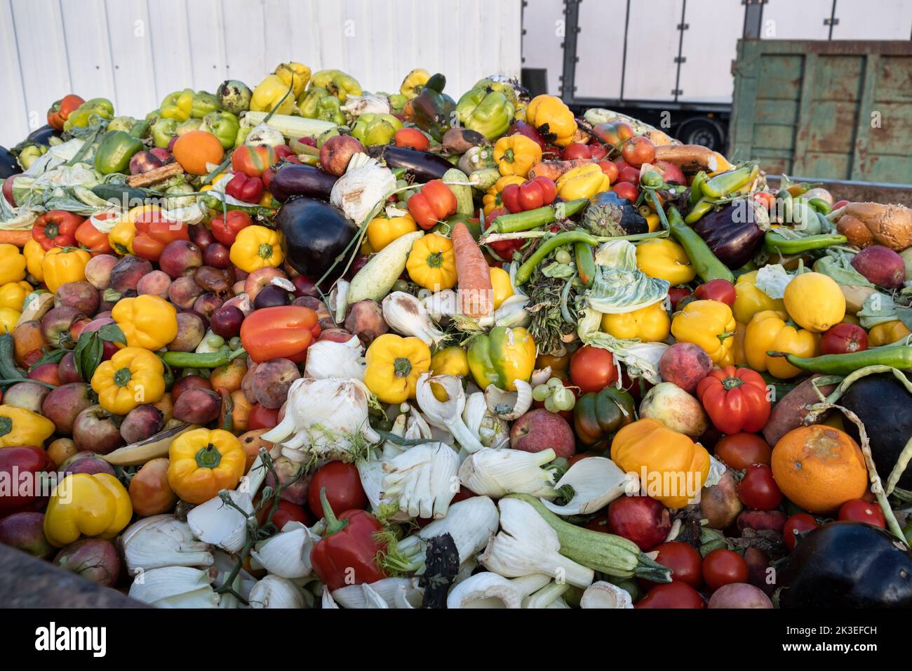 Expired Organic bio waste. Mix Vegetables and fruits in a huge ...