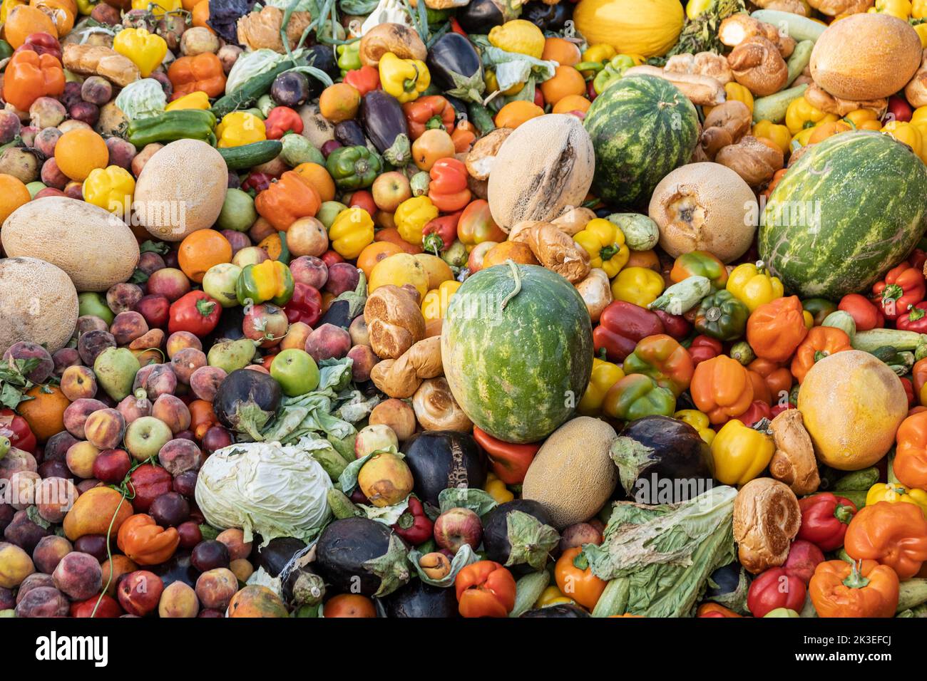 Expired Organic bio waste. Mix Vegetables and fruits in a rubbish bin ...