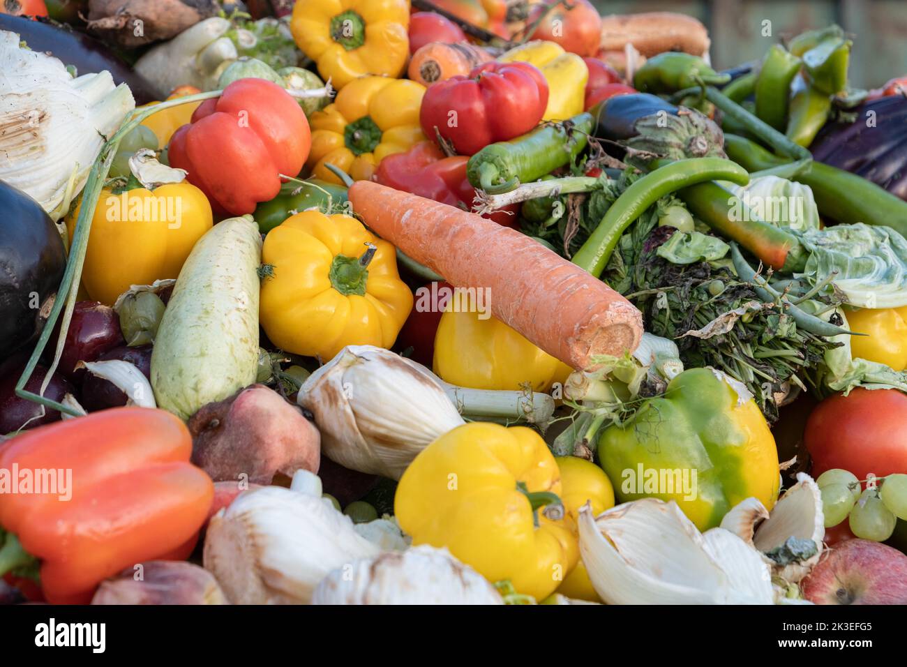Expired Organic bio waste. Mix Vegetables and fruits in a rubbish bin ...