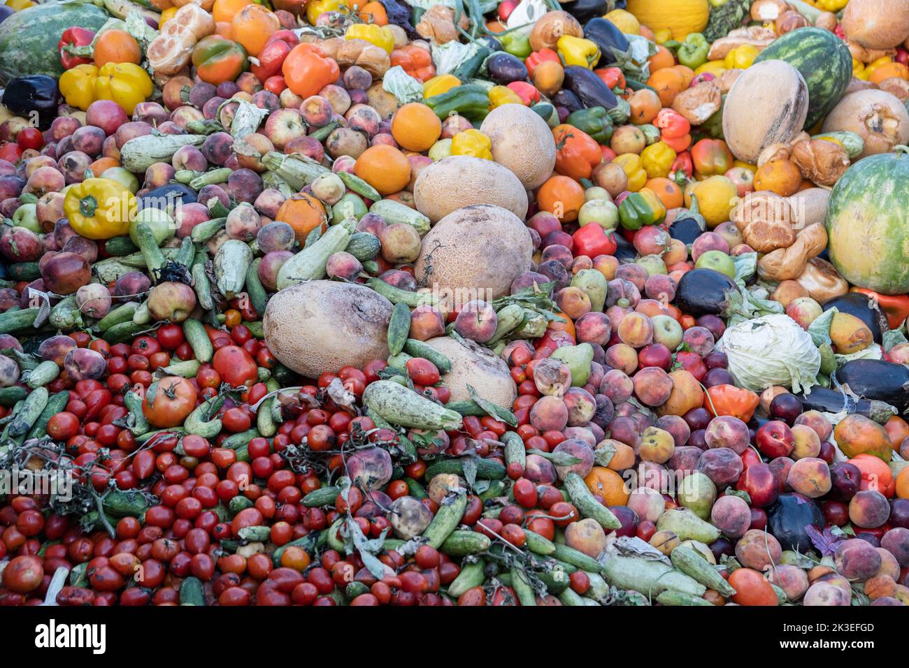 Expired Organic bio waste. Mix Vegetables and fruits in a rubbish bin ...