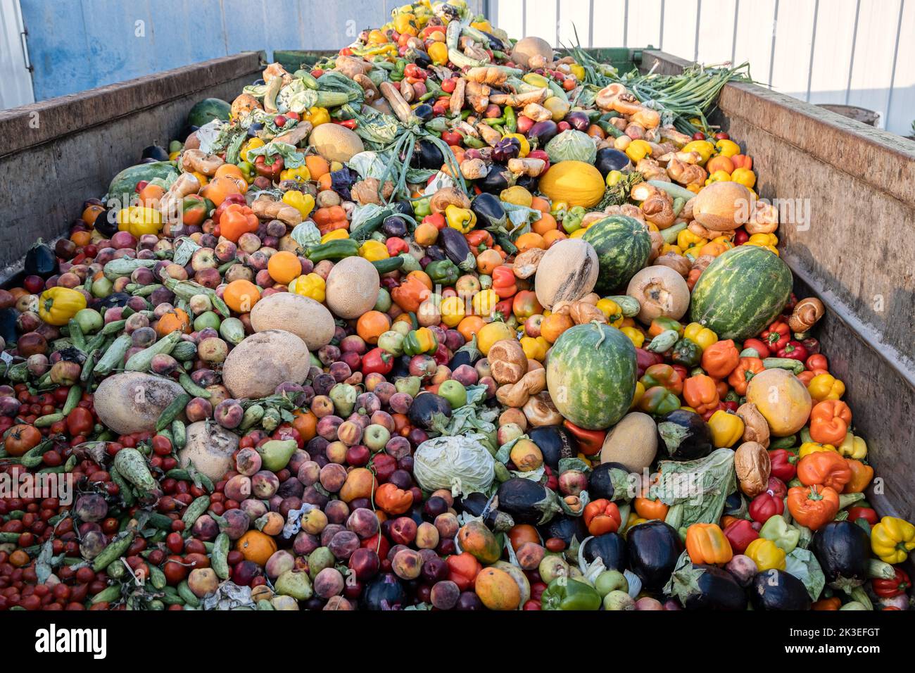 Expired Organic bio waste. Mix Vegetables and fruits in a huge ...
