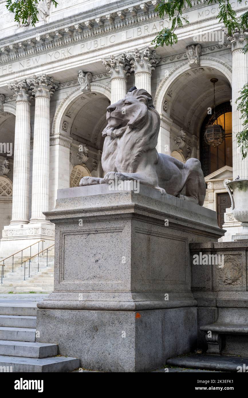 Lion statue in front of the New York Public Library, Manhattan, New ...