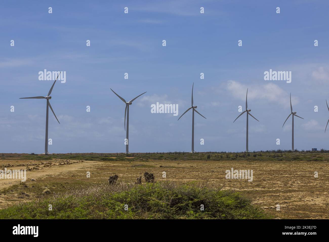 Aruba windmill farm hi-res stock photography and images - Alamy