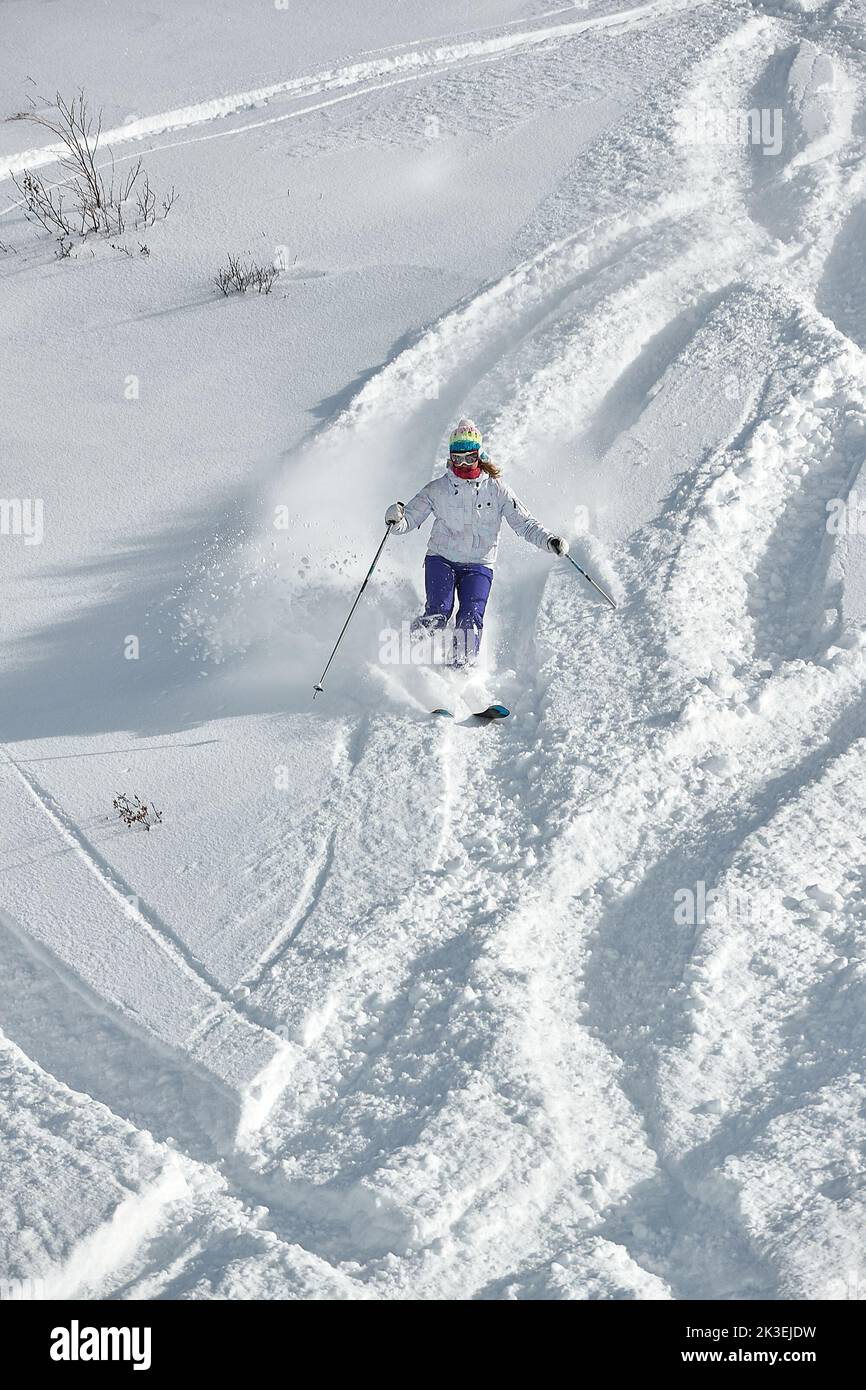 Skiing in fresh powder snow Stock Photo - Alamy