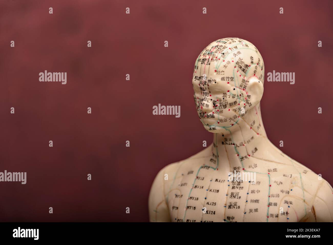 Mannequin with acupuncture points and meridians Stock Photo - Alamy