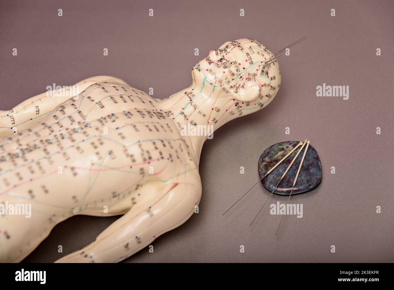 acupuncture model with needles in the head Stock Photo - Alamy