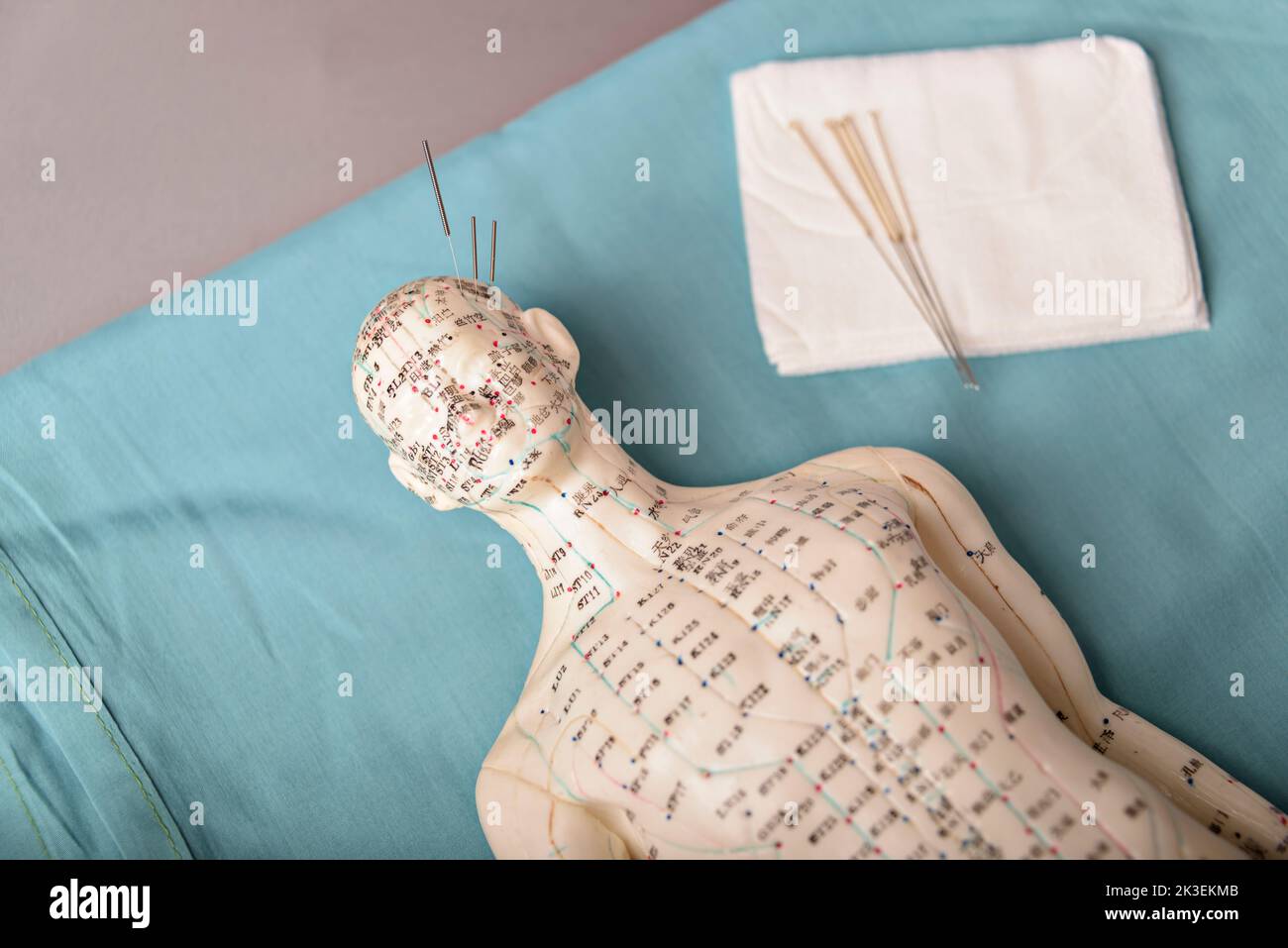 Acupuncture Model Energy Meridians Message Banner. acupuncture dummy ...
