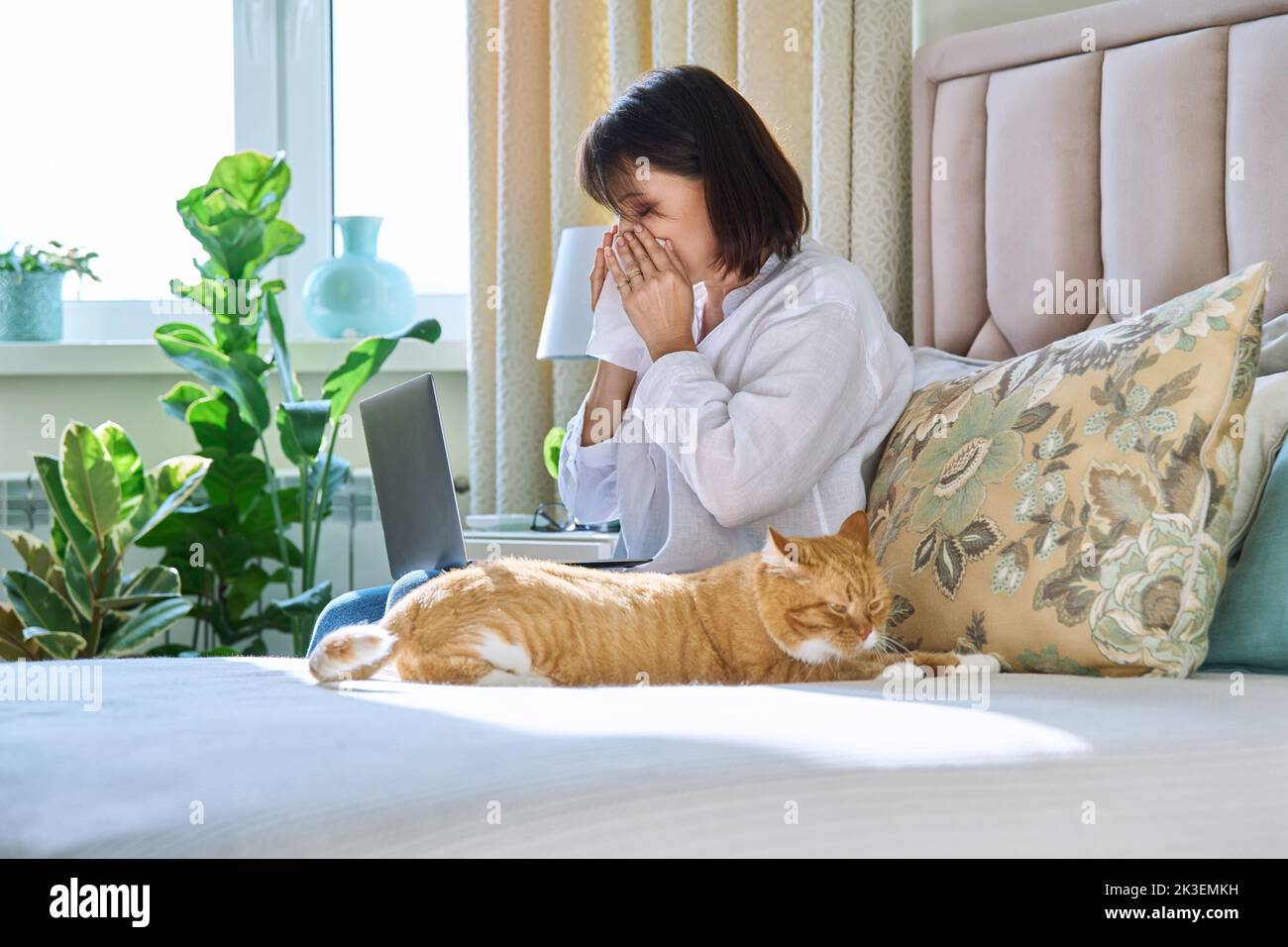 Woman allergic ginger cat hi-res stock photography and images - Alamy