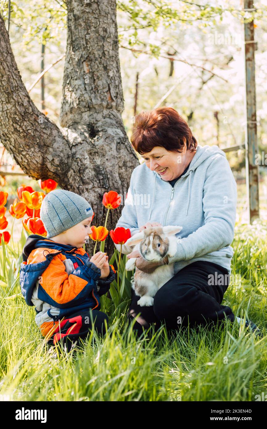 Grandmother and grandson playing with a rabbit in a spring garden in ...