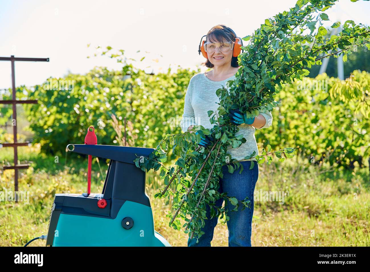 Shredderwood hi-res stock photography and images - Alamy