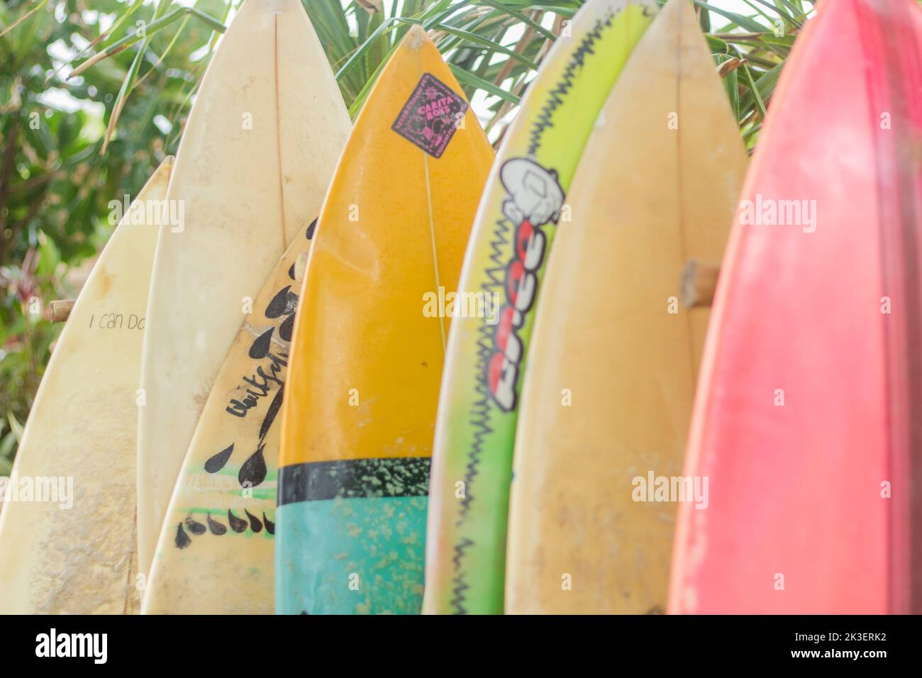 Surfboard set hi-res stock photography and images - Alamy